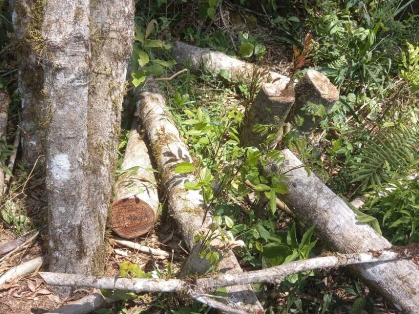 Descubra as Melhores Praias do Brasil